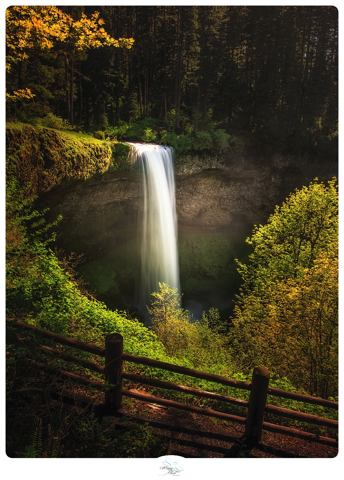 Silver Falls Park_0017 | Missy Fant Photography